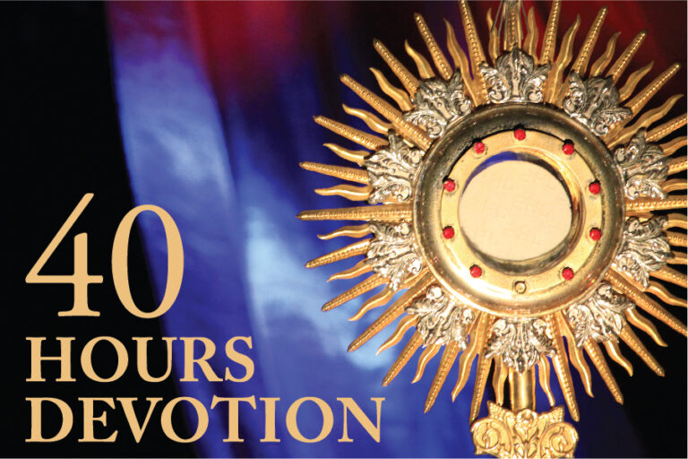 Home - Divine Mercy of Parishes